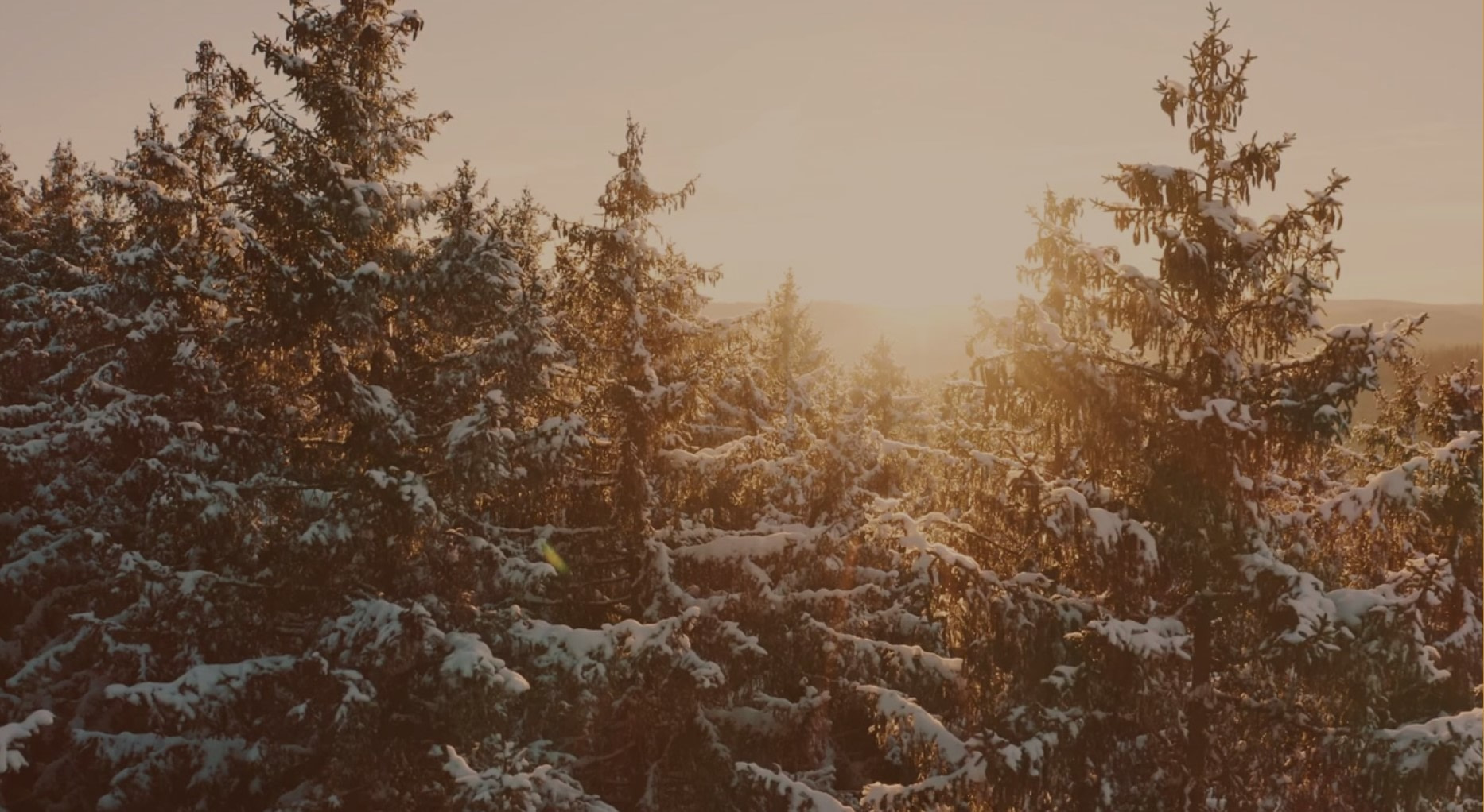 Christmas at Redeemer