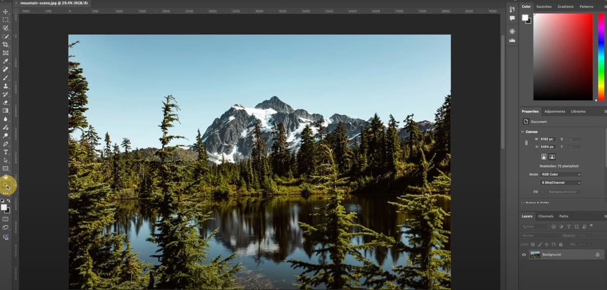 How to Zoom in Photoshop on a Mac – King Grizzly