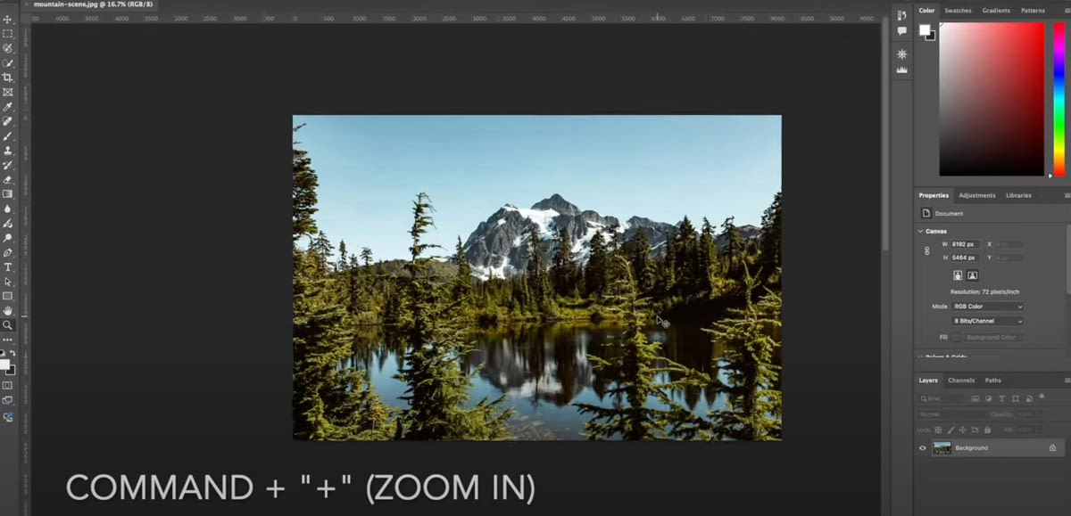 How to Zoom in Photoshop on a Mac – King Grizzly
