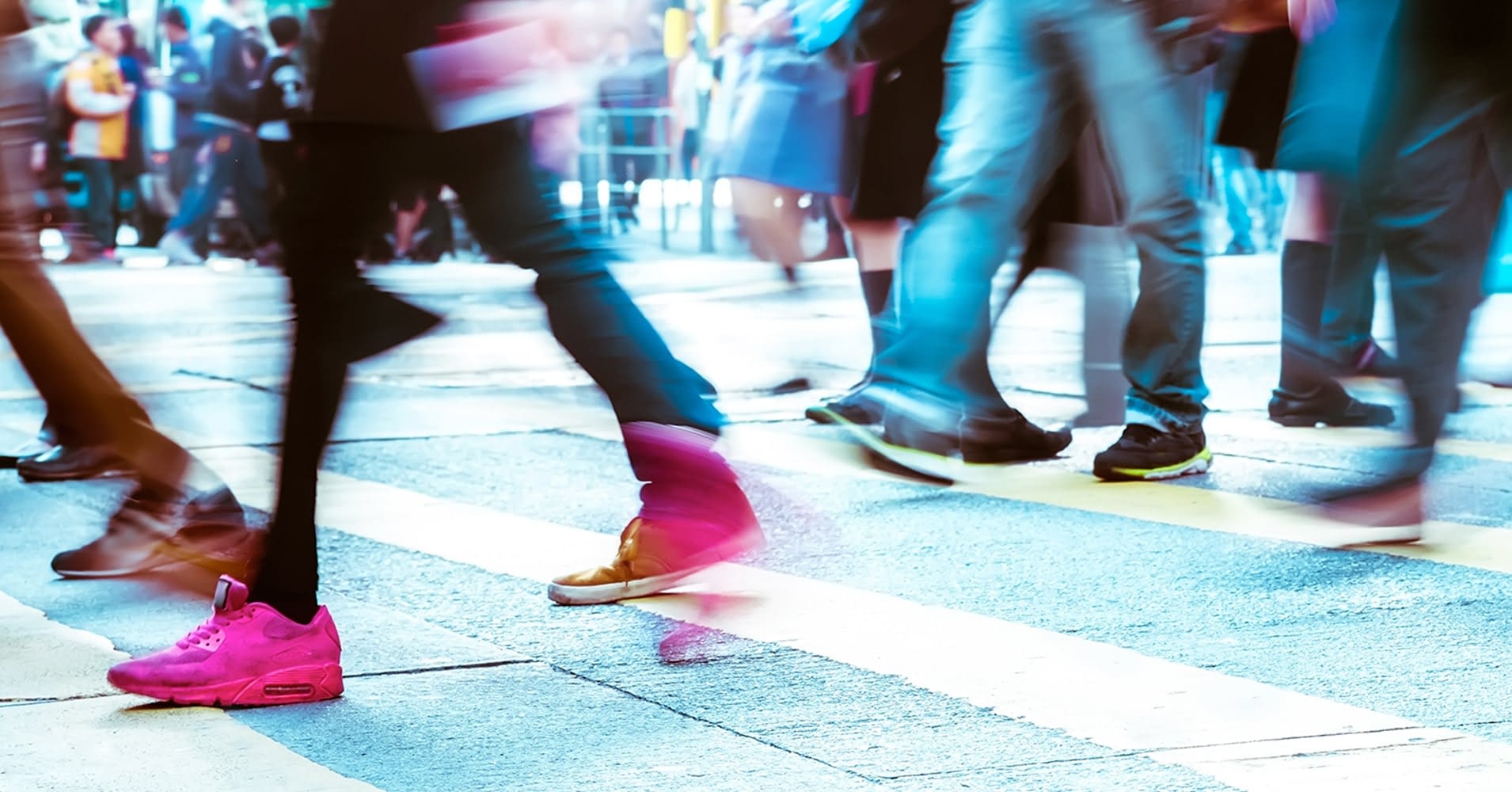 Tango Predictive Analytics