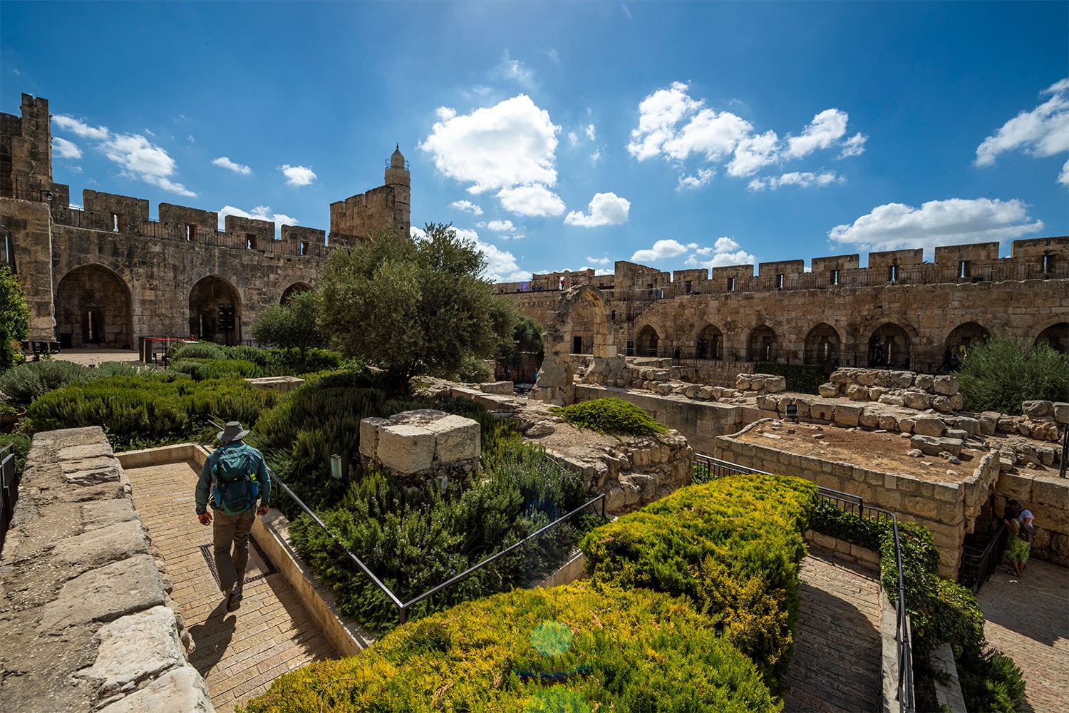 Winning Website Design and Development - King Grizzly